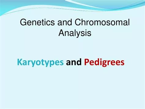 Ppt Karyotypes And Pedigrees Powerpoint Presentation Free Download