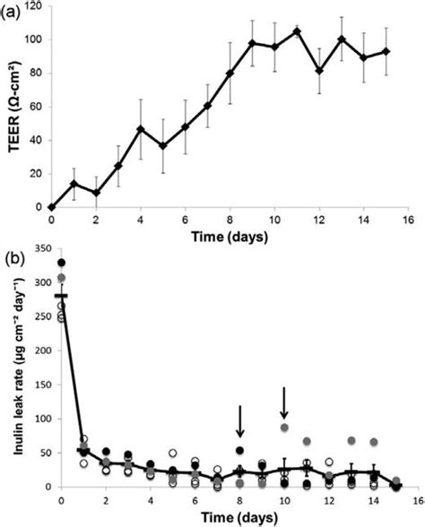 A Modular Microfluidic Bioreactor With Improved Throughput For