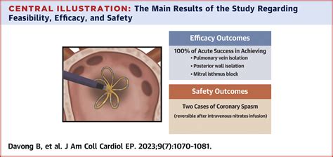 Pulsed Field Ablation On Mitral Isthmus In Persistent Atrial Fibrillation Preliminary Data On