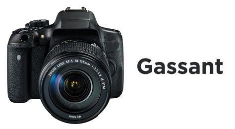 Dr Renato Van Putten Ta Introduci Imagen Infrared