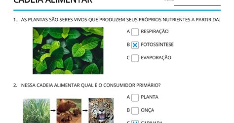 F Rmula Geo Atividade Sobre Cadeia Alimentar