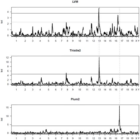 Qtl Mapping Of The Thistle2 And Plum2 Modules The Graphs Represent The