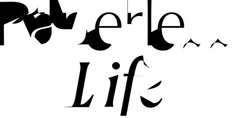 Paperless Life Shop Für Digitale Planer