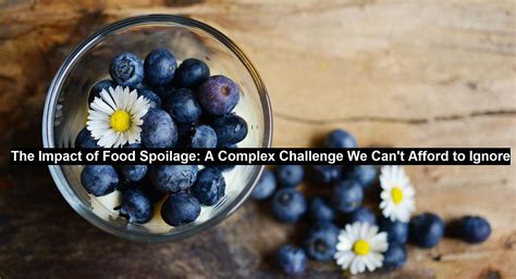 the impact of food spoilage a complex challenge we can t afford to