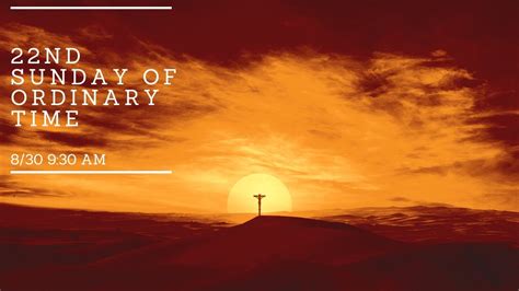 15th Sunday In Ordinary Time Year C