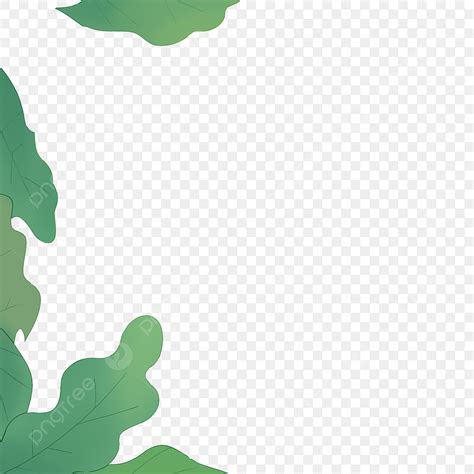 الأوراق الخضراء النباتات البيئية الأوراق النباتات الخضراء الأوراق