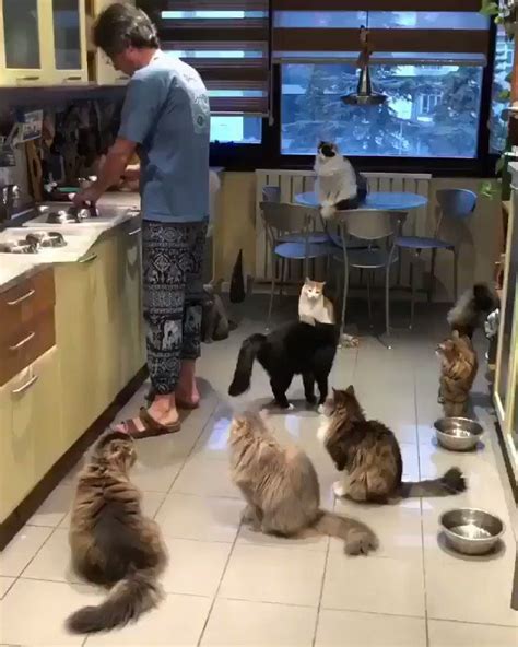 Elisa Storm Elise Sex Twitter