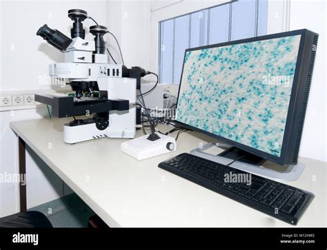 Modern Microscope Equipped With Digital Camera Computer And Monitor