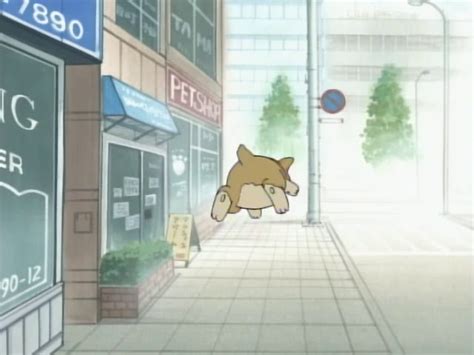 Digimon Adventure S E Digimon Uncensored