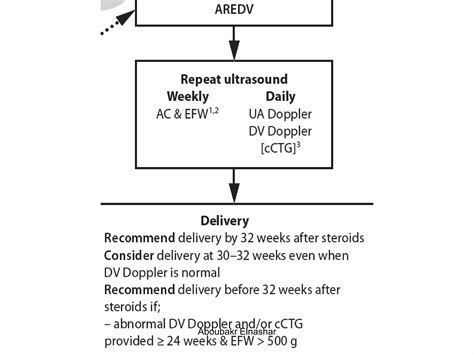 Doppler Interpretation In Pregnancy PDF