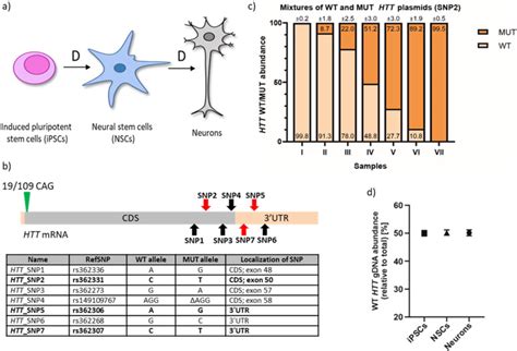 Allele Specific Quantitation Of Atxn3 And Htt Transcripts In Polyq Disease Models Pmc