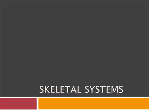 Skeletal System Introduction PPT