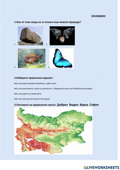 Тест за 4 клас Interactive Worksheet Live Worksheets