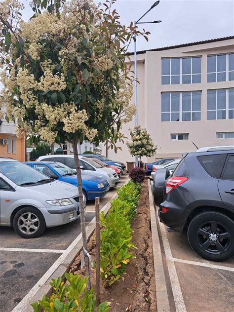 Казанлък инфо Административната сграда на Община Павел баня ще има асансьор за хора с увреждания