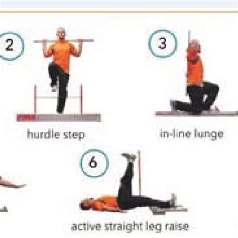 Functional Movement Screen Scoring System Download Scientific Diagram