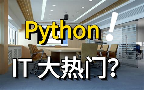 【重磅来袭】python教程1000集，小白入行it的必学课程，从入门到实践（绝对是b站最用心的） 路飞学城it 路飞学城it 哔哩哔哩视频