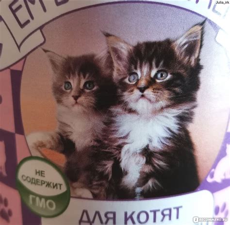 Корм для кошек "Ем без проблем" Мясные консервы - «Моей кошечке ...