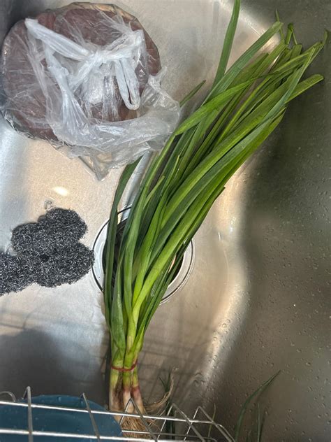 【大蒜炒鸭血的做法步骤图，大蒜炒鸭血怎么做好吃】鱼和梧桐下厨房