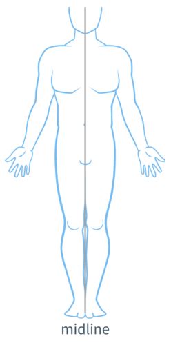 Physical Exam Findings Flashcards Quizlet