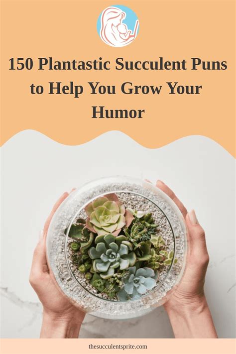 Succulent Puns Artofit