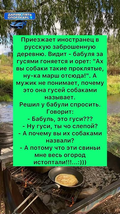 Гуси🤣топ юмор приколы рекомендации рек шортс реки ржака юмор