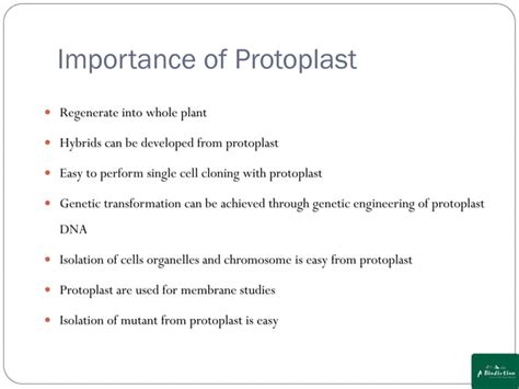 Plant Protoplast Isolation Purification And Culturing PDF