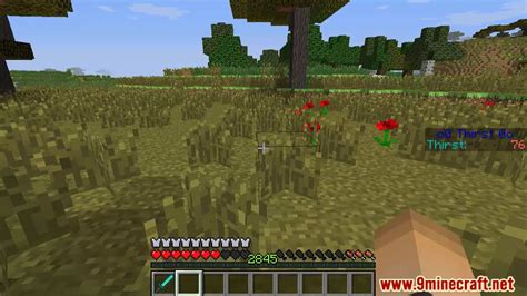 Thirst Plugin Bukkit Spigot Paper Mc Mod Net