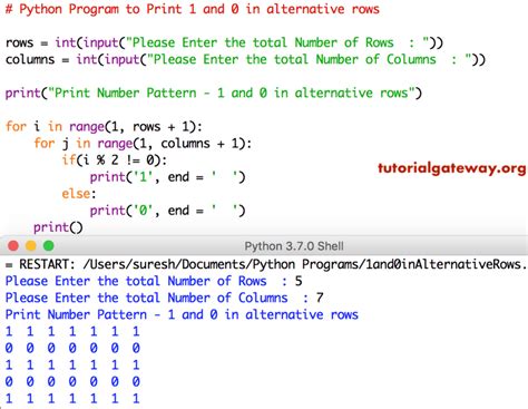 Python Program To Print 1 And 0 In Alternative Rows