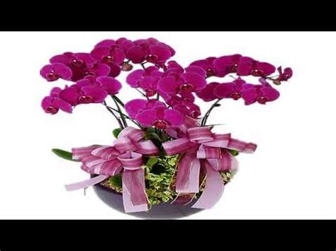 Ho Anh Huong Dan Di Choi Bien Youtube