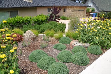 Small Mounding Compact Perennials