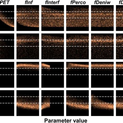 The Distribution Of Model Performance Nse Between Simulation And Download Scientific Diagram