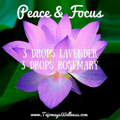 How To Relieve Eye Strain And Boost Focus