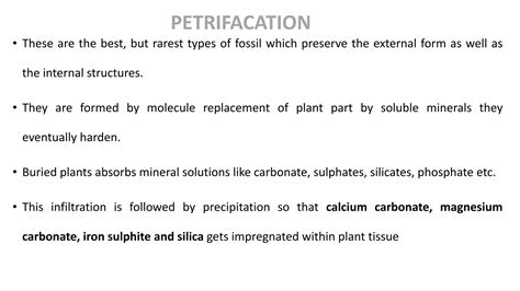 Kinds Of Fossilizationpptx