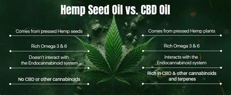 Hemp Seed Oil Vs Cbd Oil Is It The Same