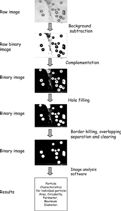 Basic Particle Image Processing Download Scientific Diagram