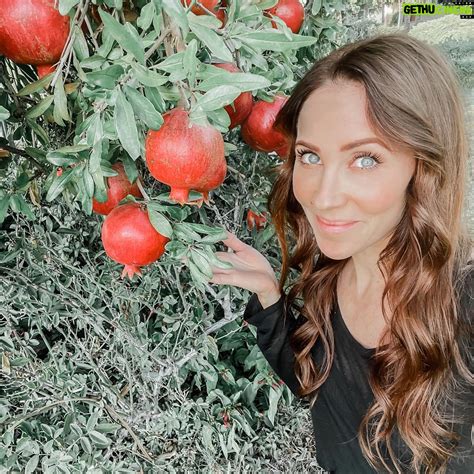 Miranda Frigon Wiki Biography Age Gallery Spouse And More