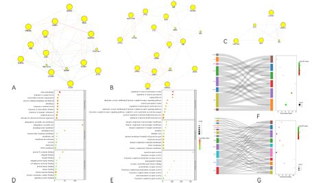 Cluster Classification Of The Preliminary Ppi Network A−c Are Download Scientific Diagram