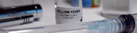 Yellow Fever Vaccines Carina Medical And Specialist Centre