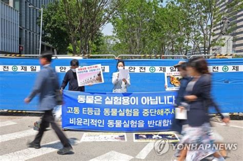 서울 일부 중·고교서 동물해부실습교육청 시정조치 안내 파이낸셜뉴스