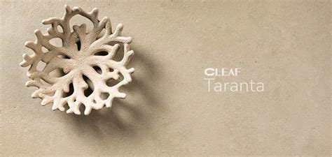 Cleaf Fd 29 Tarantataranta Raropl
