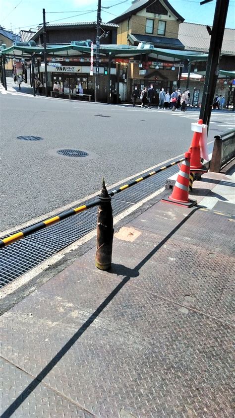 岡田 せいかいのおと On Twitter Rt Gionbubu 危うく見逃すところでした。