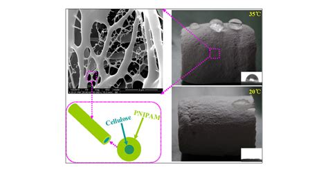 Mechanically Strong And Thermally Responsive Cellulose Nanofibers Poly