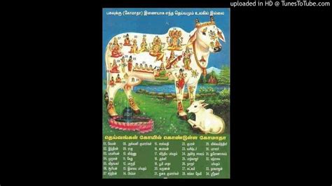 Analekara Geetham Suddha Saveri Ragam Youtube
