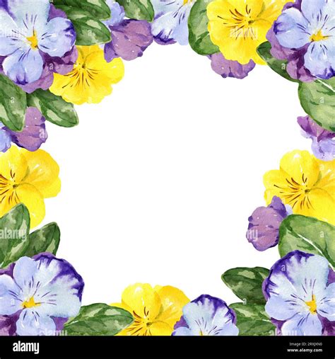 Watercolor Square Frame With Hand Drawn Pansy Flowers And Leaves