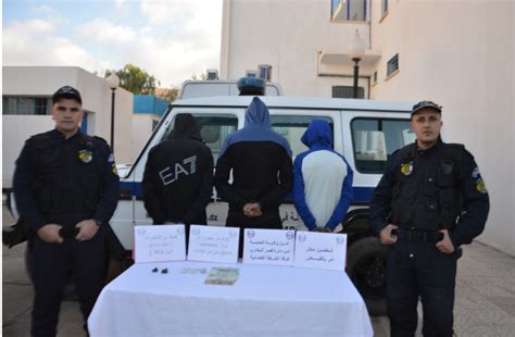 الإطــاحــــة بشــبكــة إجــــرامية في المــديـــة