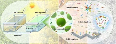 Revealing Real Impact Of Microalgae On Seasonal Dynamics Of Bacterial Community In A Pilot Scale