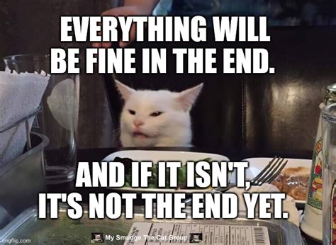 Image tagged in smudge the cat - Imgflip
