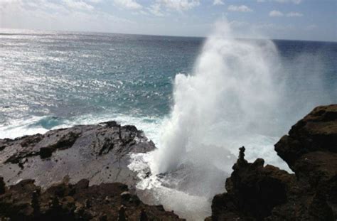 하와이 오아후 섬 일주 단독 투어 실속 프리미엄