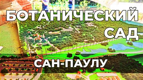 Ботанический сад Сан Паулу Бразилия Youtube
