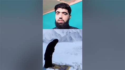 Mashallah ♥️ Subhanallah ♥️ Allaha Hu Akber ♥️duet Like Love